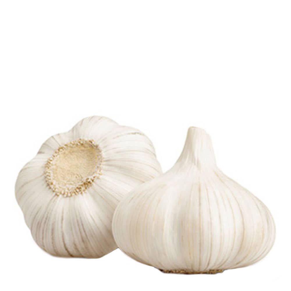 ALHO IMPORTADO RAYKA 200G | Natural da Terra